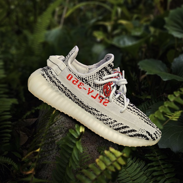 Yeezy 350 zebra White - Shoes Hub Online